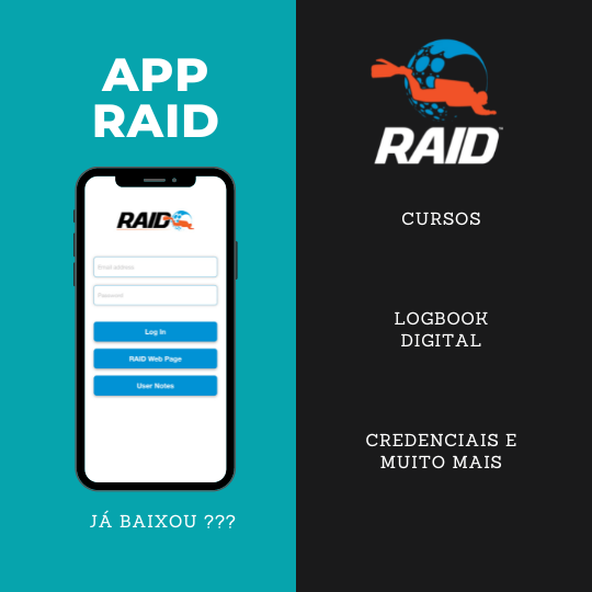 RAID Brasil – The RAID Way™