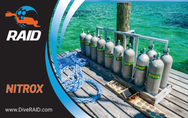 Dive RAID Brasil – The RAID Way™