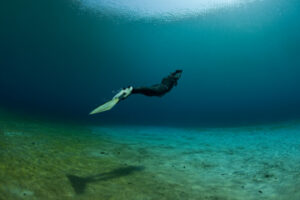 FREE DIVING – Dive RAID Brasil