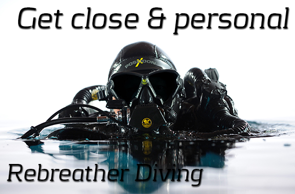 REBREATHER – RAID Brasil