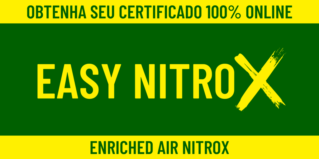 Dive RAID Brasil – TAKE YOUR GAME TO THE NEXT LEVEL