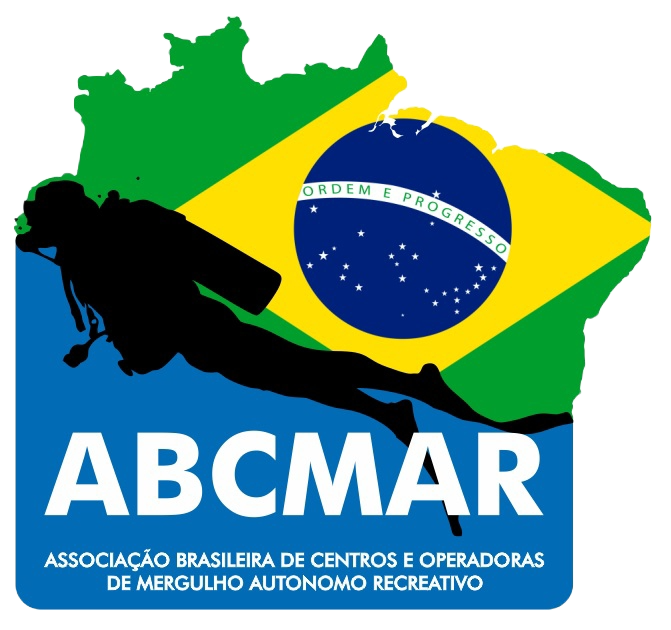 91317 – RAID Brasil