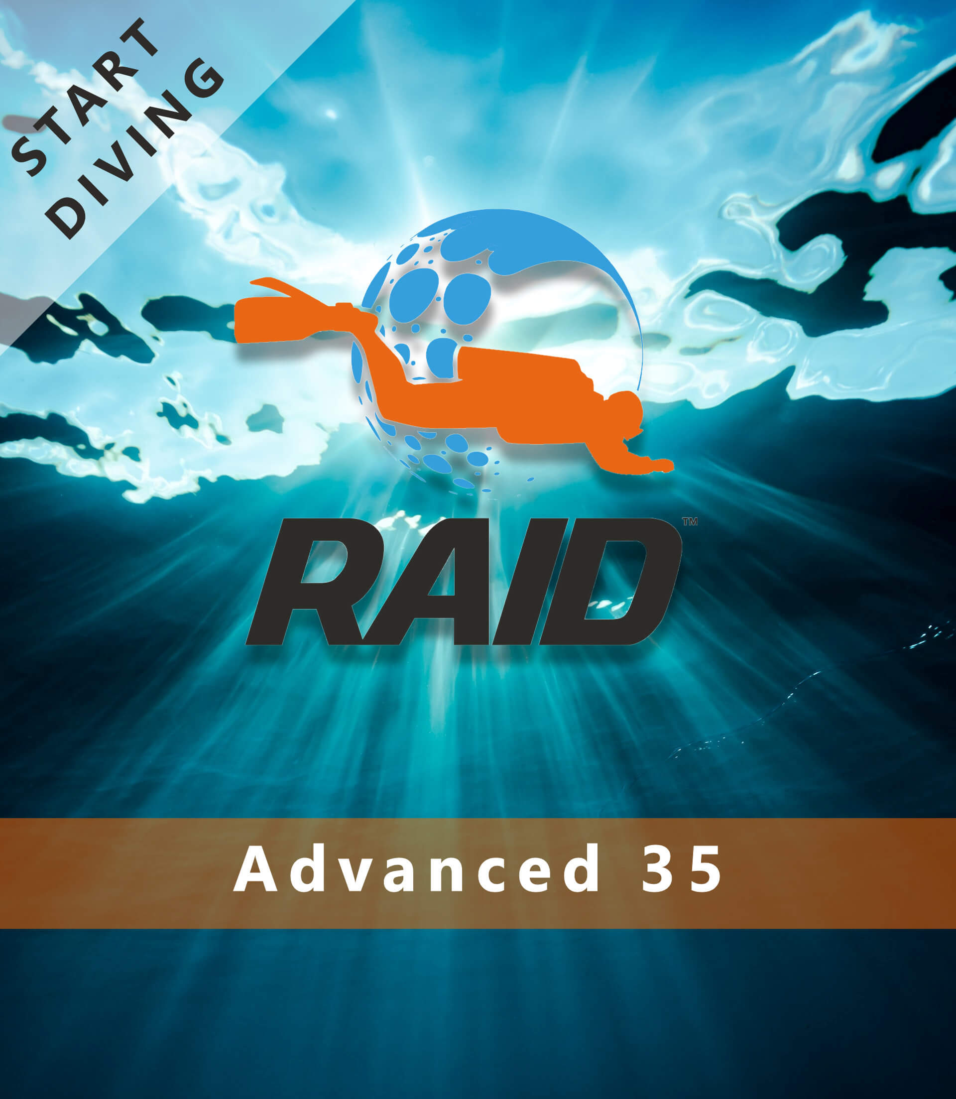 RAID Brasil – The RAID Way™