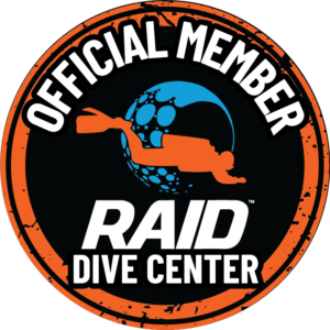 RAID Brasil – The RAID Way™