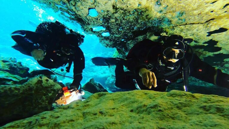 Dive RAID Brasil – The RAID Way™