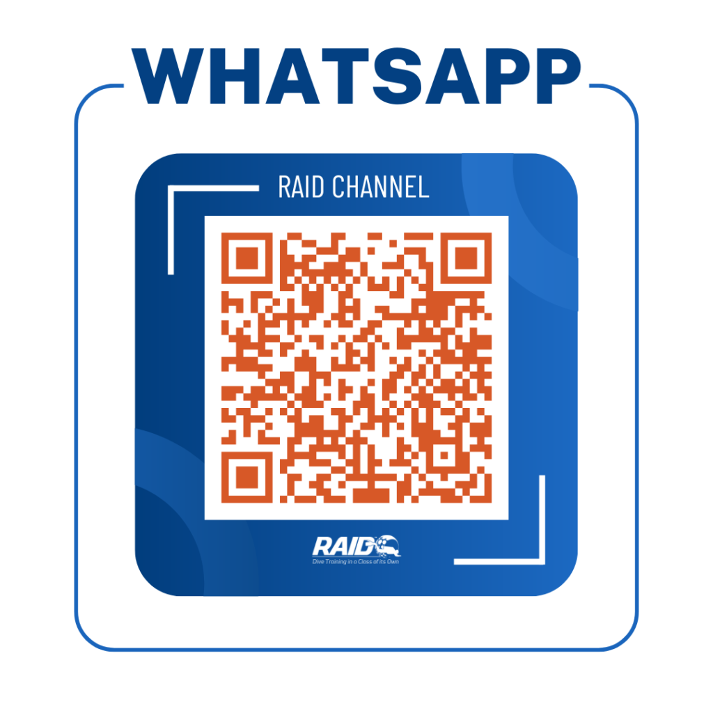 RAID Brasil – The RAID Way™