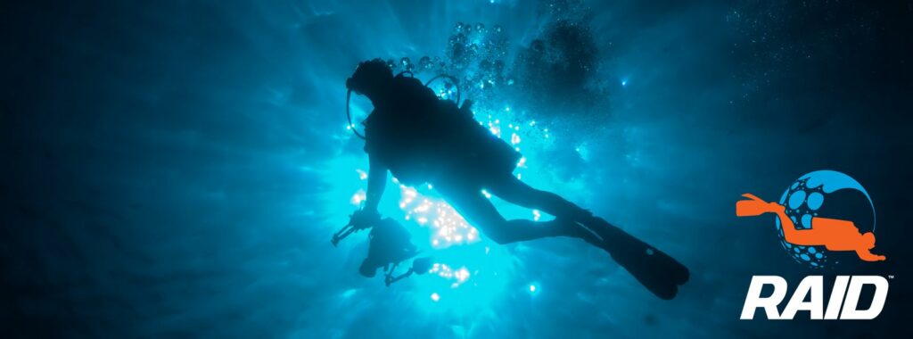 RAID Brasil – The RAID Way™