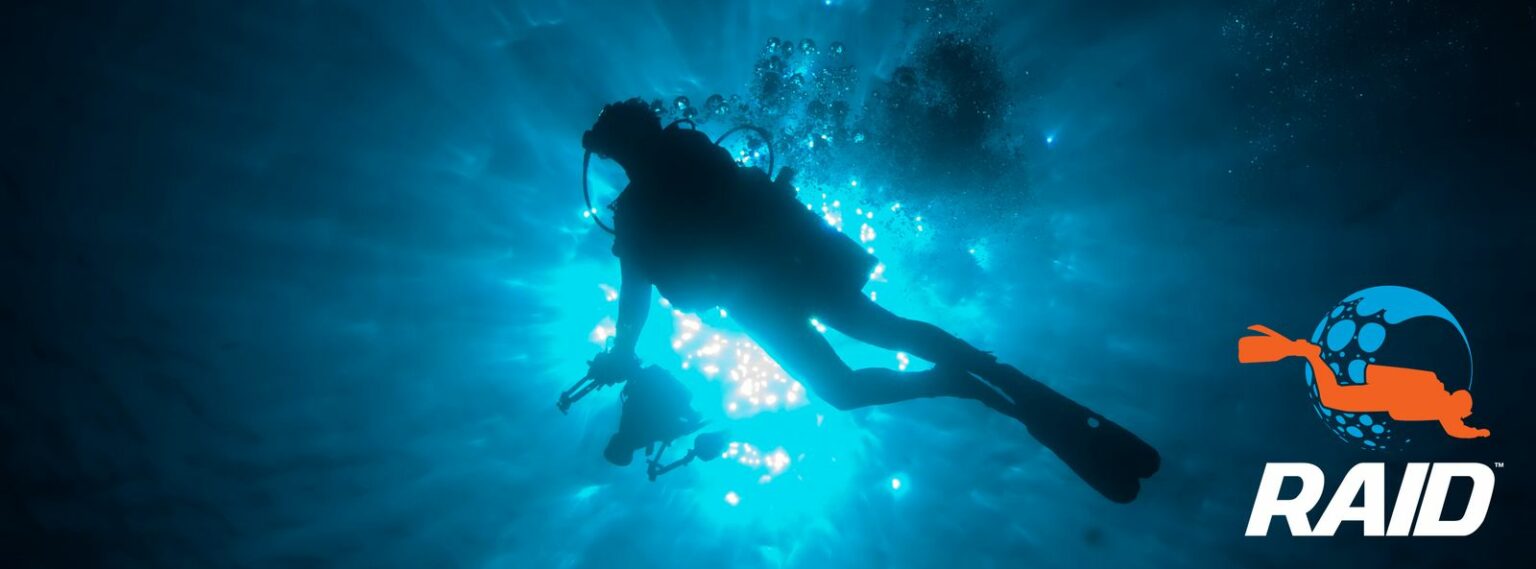 RAID Brasil – The RAID Way™